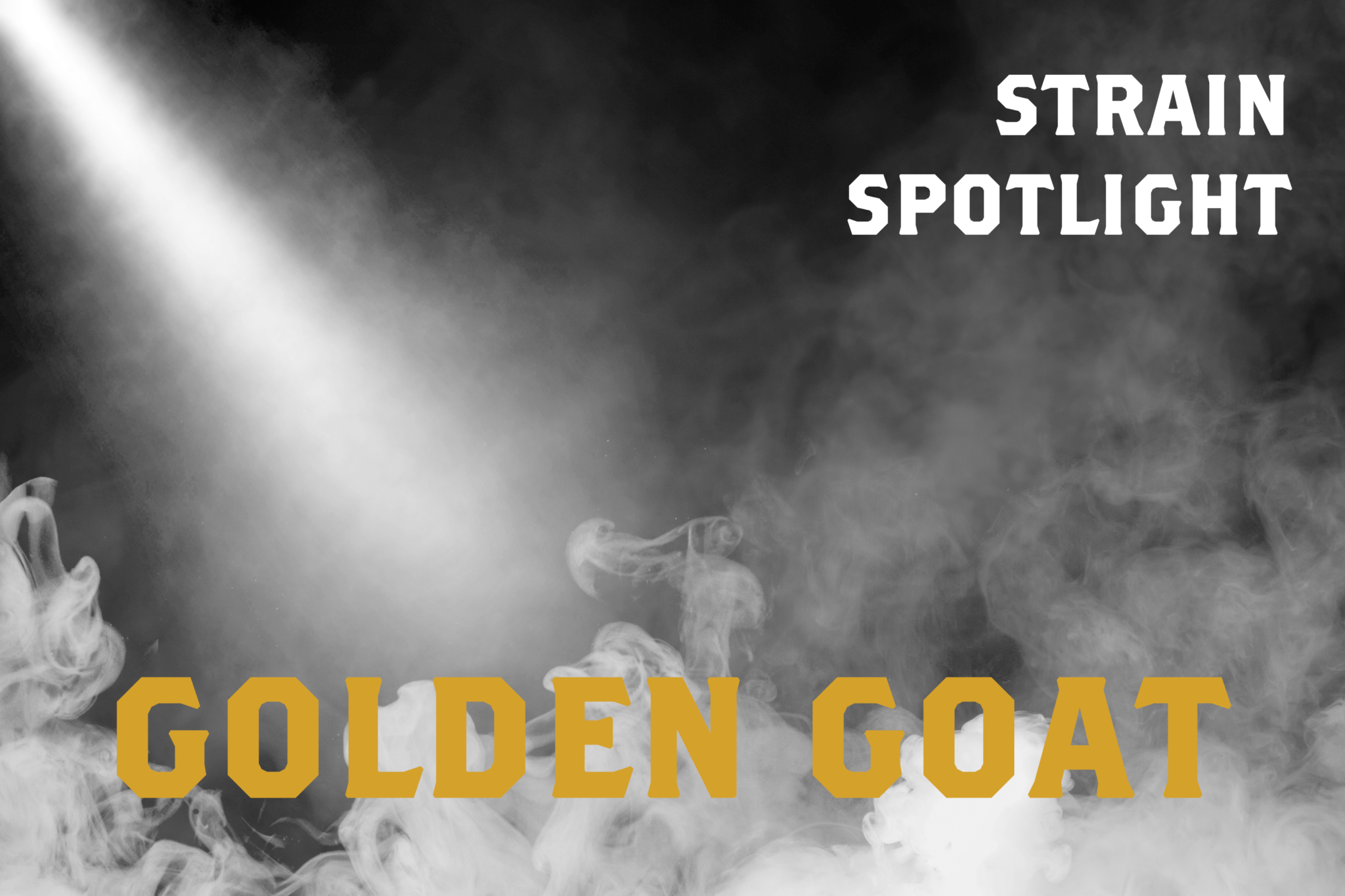 Golden Goat | Strain Spotlight | Arbors Wellness